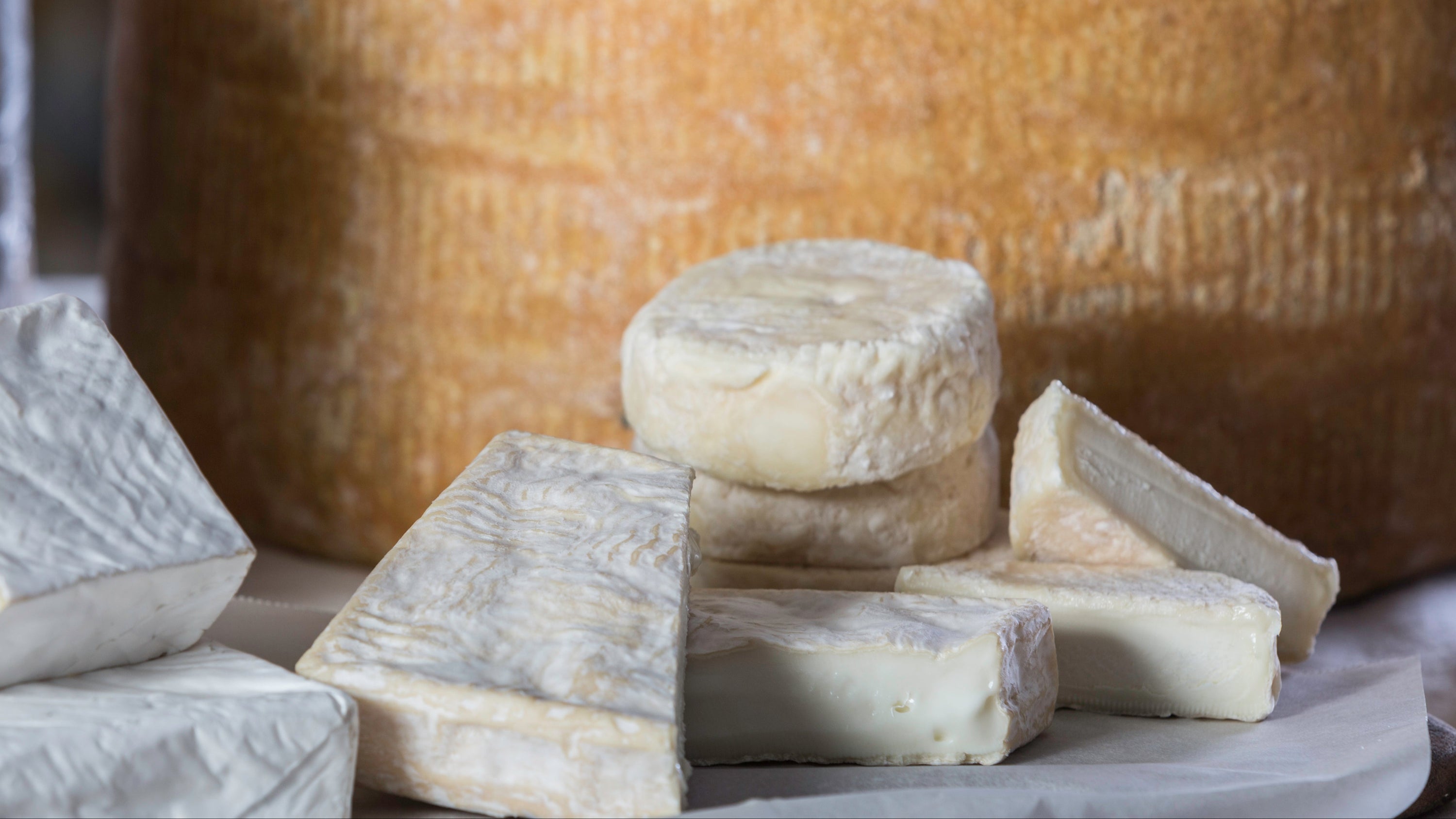 Cheese Therapy | Real makers. Real cheese. Real joy.